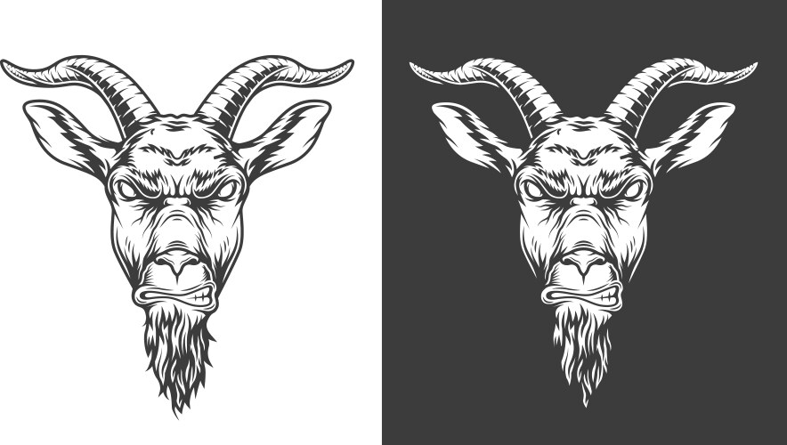 Goat Vector Images (over 37,000)