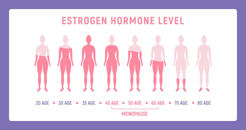 Estrogen Levels Vector Images (over 120)