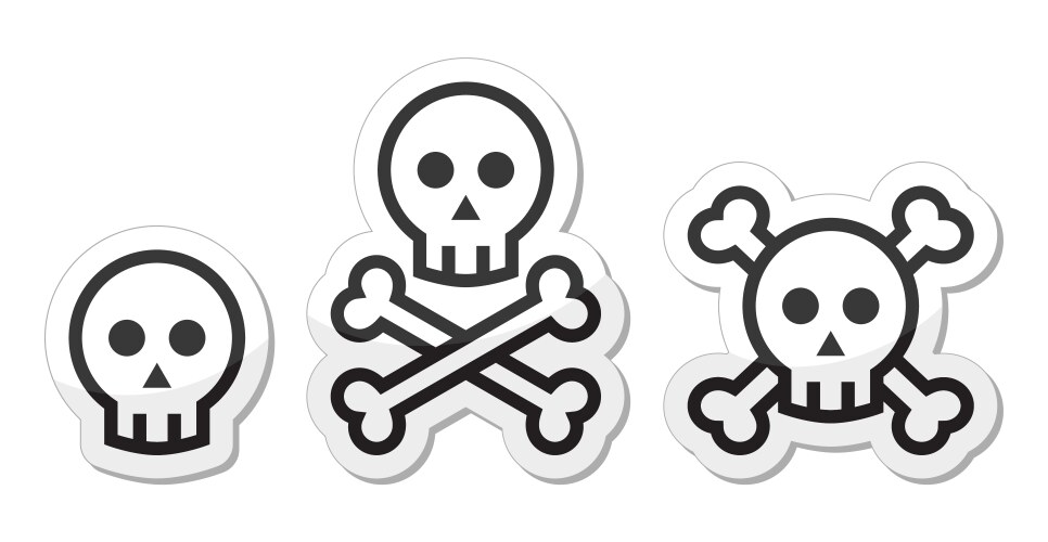 Bones set anatomy icons skull and spine jaw Vector Image