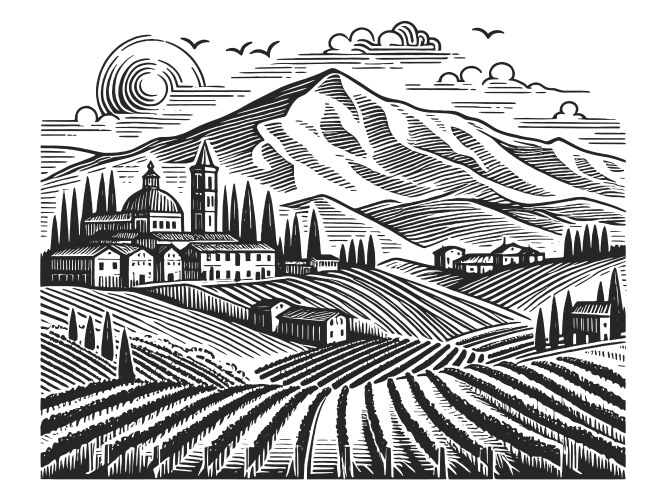 Engraved tuscan vineyard countryside villa Vector Image