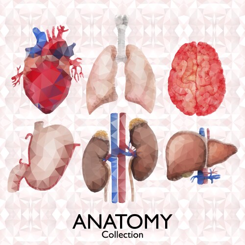 Body Parts Pattern Vector Images (over 1,300)