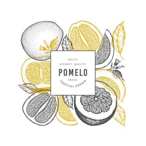 Hand drawn map compass background Royalty Free Vector Image