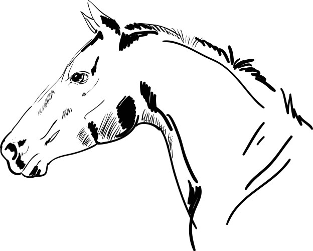 Stallion Silhouette Vector Images (over 13,000)