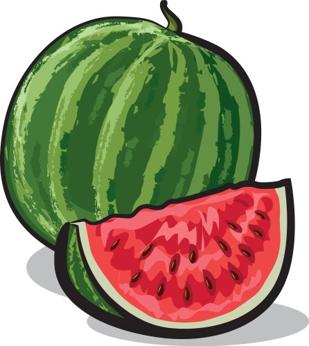 Watermelon Vector Images (over 77,000)