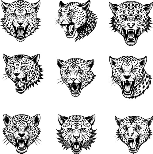 Roaring Leopard Vector Images (over 3,100)