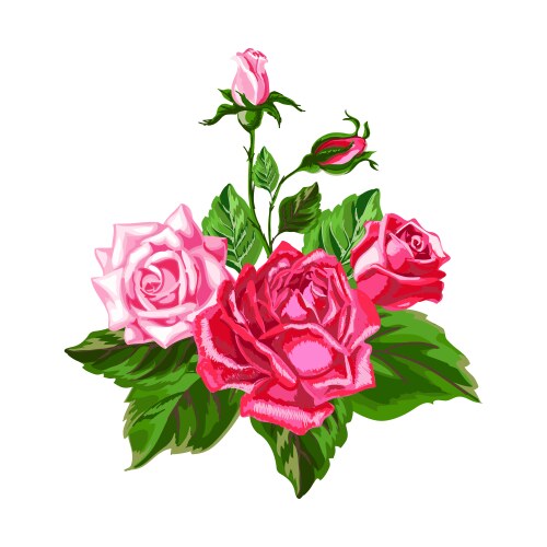 Branch of roses Royalty Free Vector Image - VectorStock