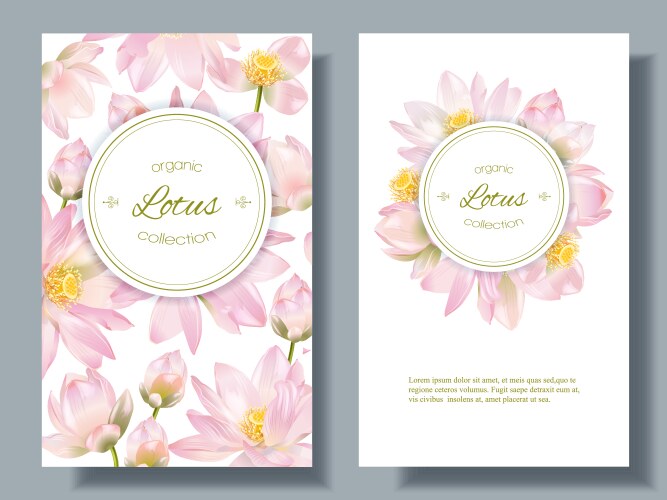 Lotus flower banner Royalty Free Vector Image - VectorStock