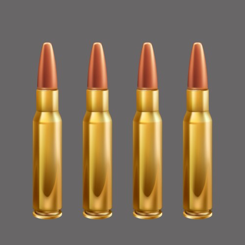 Realistic bullet Royalty Free Vector Image - VectorStock