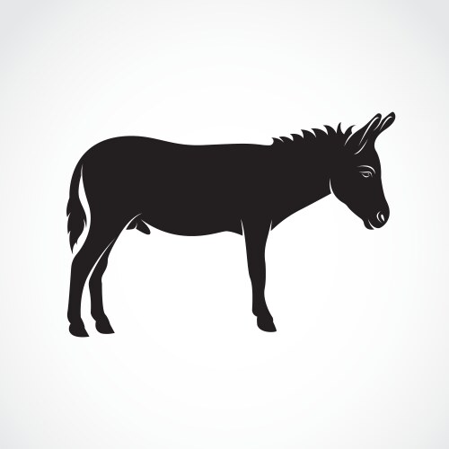 Donkey Vector Images (over 13,000)