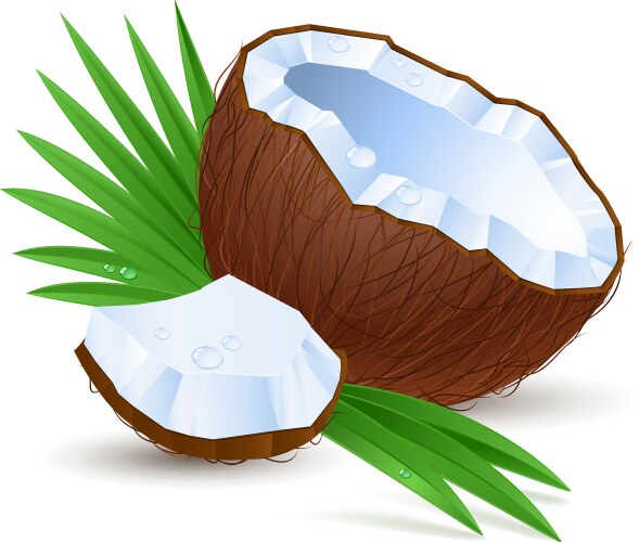 Coconut Vector Images (over 83,000)