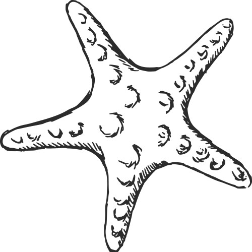 Starfish Vector Images (over 46,000)