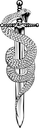 Hand drawing snake wrapped around dagger tattoo Vector Image