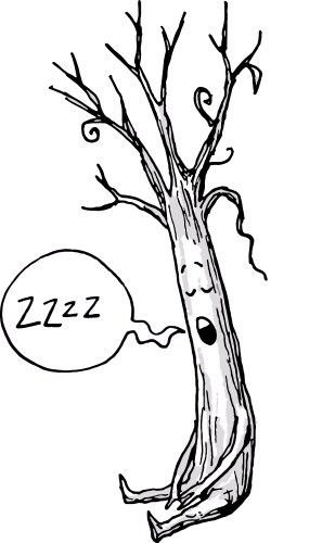 Cartoon Tree Trunk Vector Images (over 13,000)