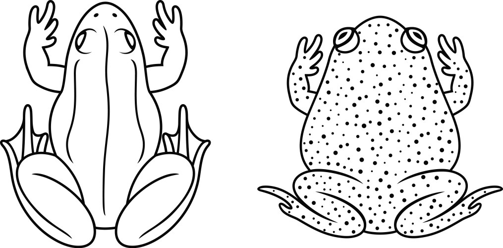Frog Outline Vector Images (over 3,400)