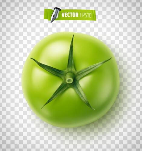 Tomato Vector Images (over 130,000)