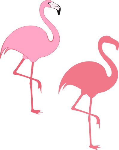 Flamingo Vector Images (over 32,000)