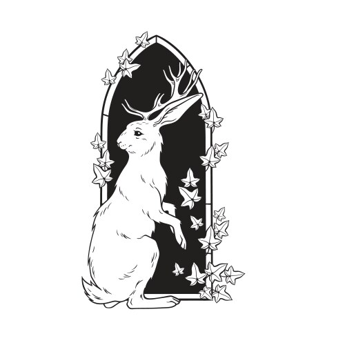 Jackalope hare with horns folklore magic animal Vector Image