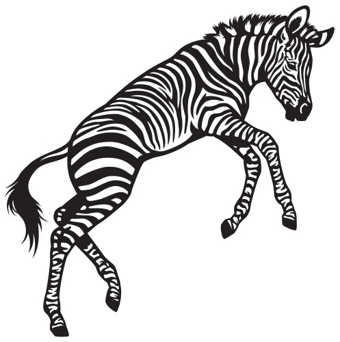 Baby Zebra Vector Images (over 5,400)