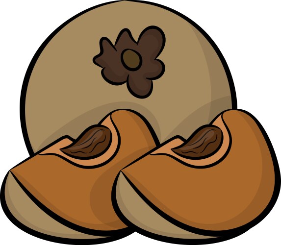 Sapodilla Vector Images (over 470)