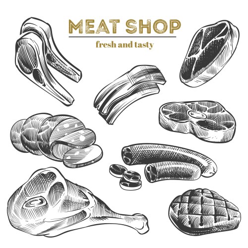 Raw meat set drawing hand drawn beef steak Vector Image
