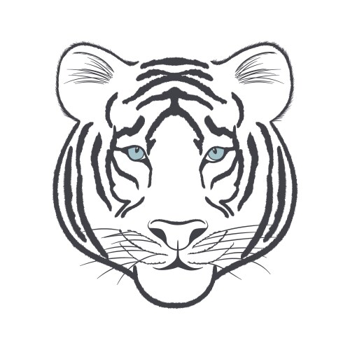 White Tiger Vector Images (over 66,000)