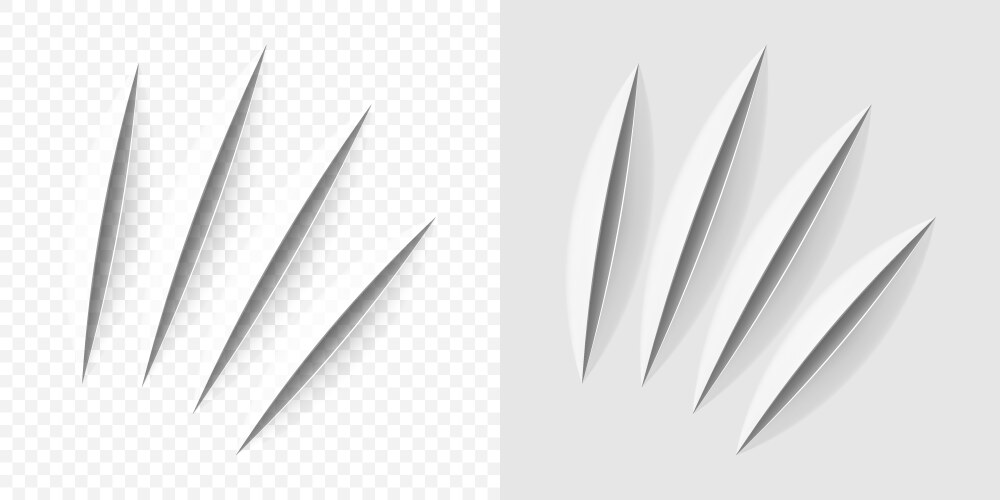 Slash Vector Images (over 18,000)