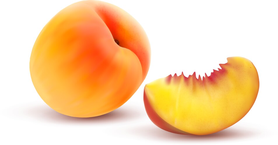 Peach Vector Images (over 38,000)