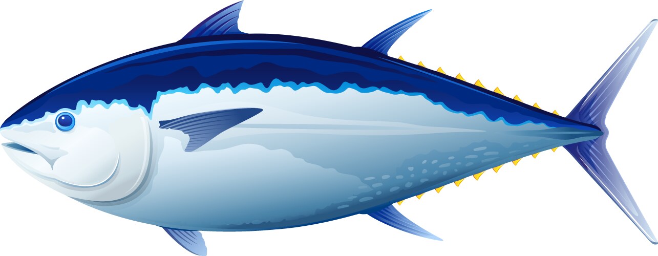 Tuna Vector Images (over 30,000)
