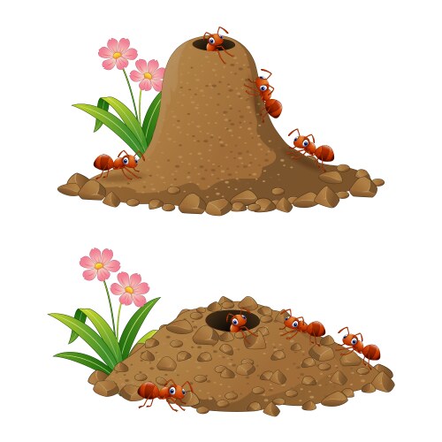 Cartoon ants colony and ant hill Royalty Free Vector Image