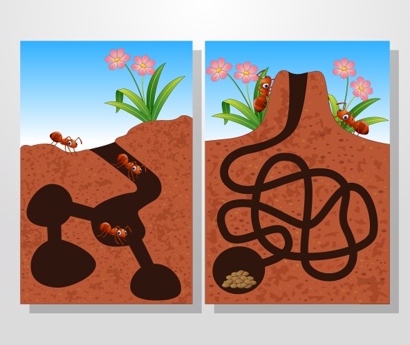 Cartoon ants colony and ant hill Royalty Free Vector Image