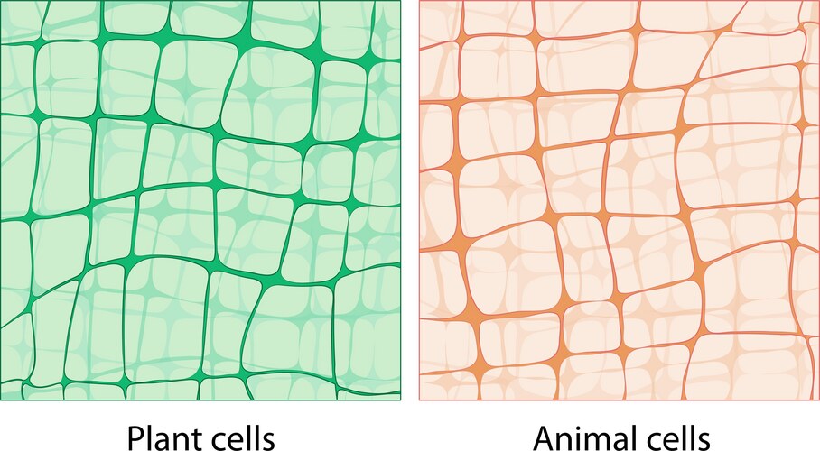 Nature Fon Vector Images (34)