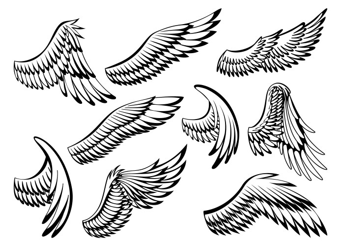 Wings Color Vector Images (over 110,000)