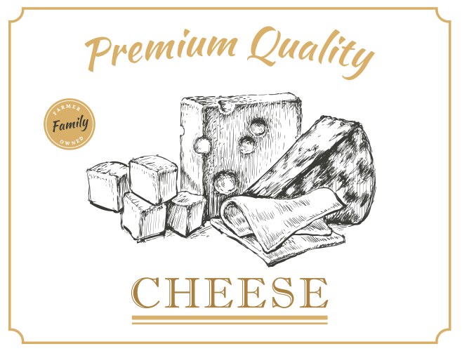 Drawing cheese sketch ingredients vintage dairy Vector Image