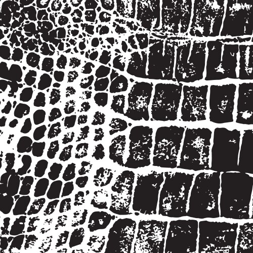 Snake python skin texture seamless pattern black Vector Image