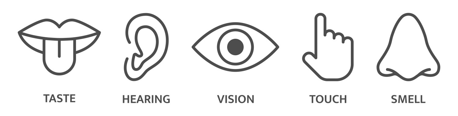 Five human senses Royalty Free Vector Image - VectorStock