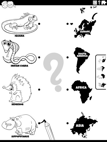 Match animal species and continents educational Vector Image