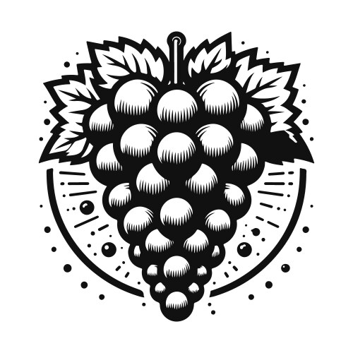 Monochrome silhouette grape for minimalist design Vector Image