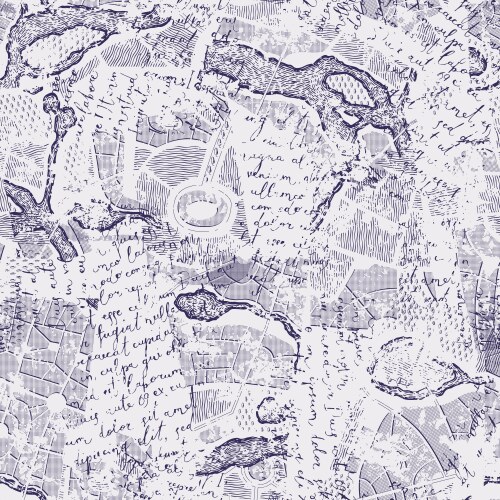 Sea map seamless pattern linear nautical Vector Image