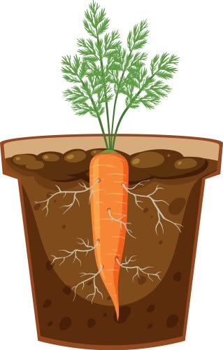 Cartoon Plant Root Vector Images (over 13,000)