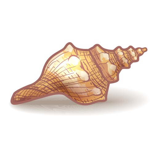 Colorful spiral conch sea shell isolated sketch Vector Image