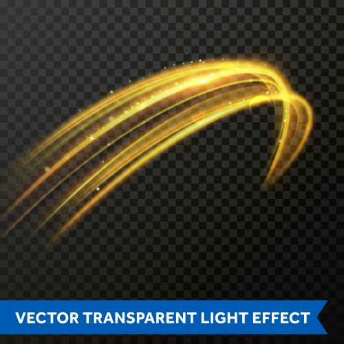 Luxury gold light lines with glitter and shine Vector Image