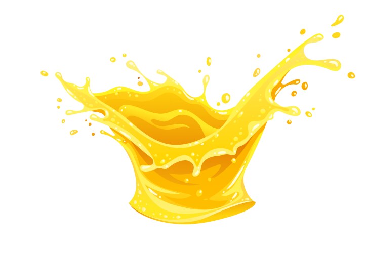 Orange Juice Splash Royalty Free Vector Image - VectorStock