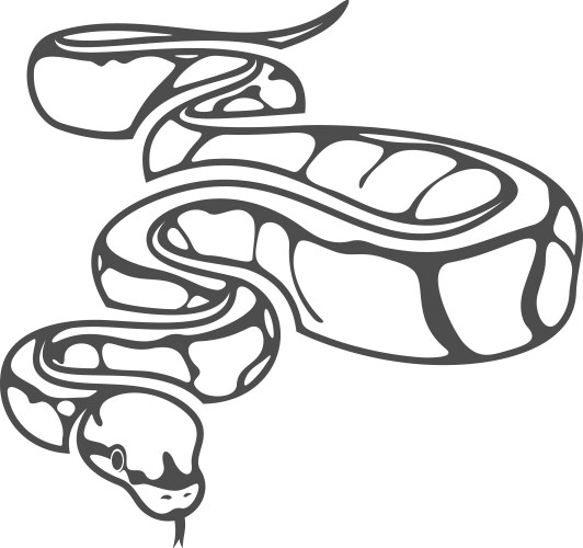 Black snake Royalty Free Vector Image - VectorStock