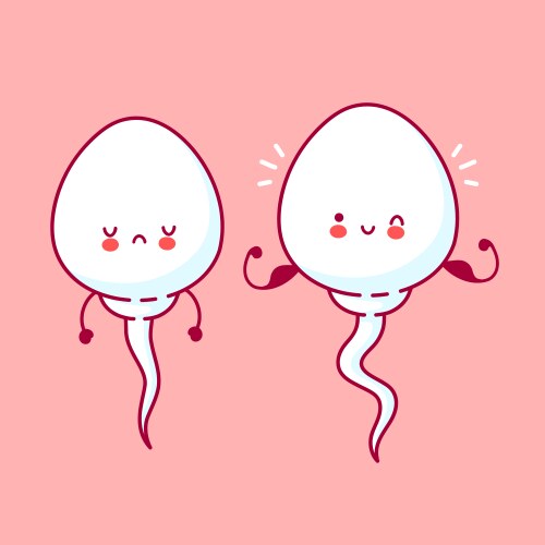 Cute happy funny sperm cell and baby Royalty Free Vector