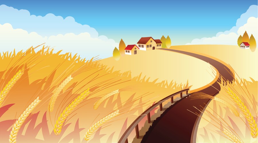 Wheat fields village farm landscape with green Vector Image