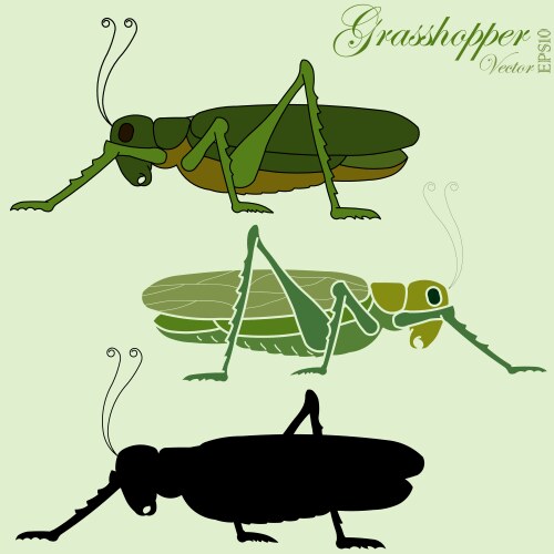 Grasshopper Vector Images (over 5,700)