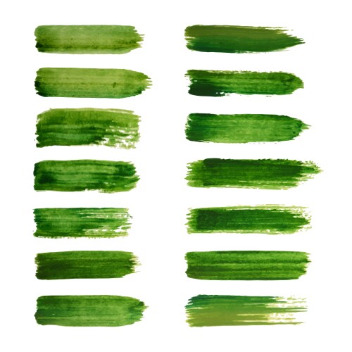 Green watercolor shapes circle brush strokes Vector Image