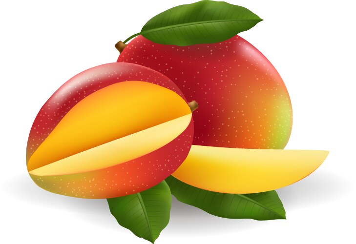 Mango Royalty Free Vector Image - VectorStock