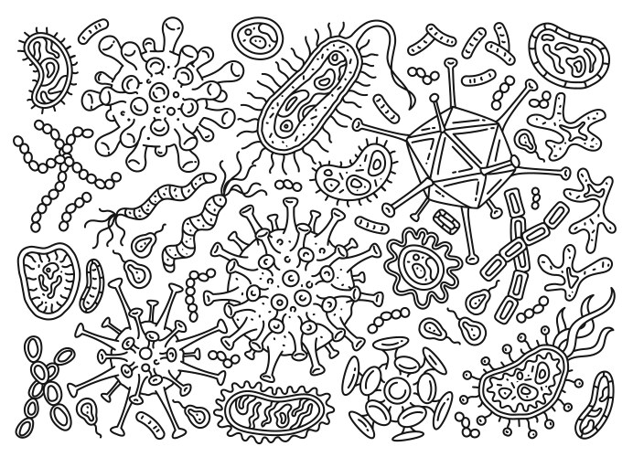 Sketch virus bacteria coronavirus germ biology Vector Image