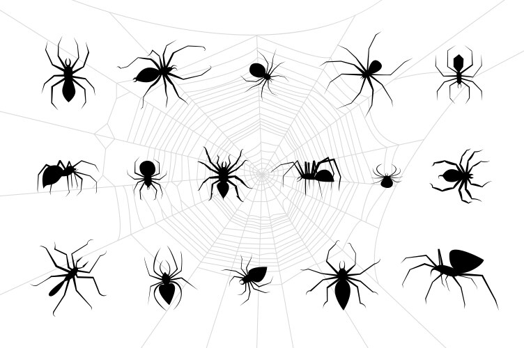 Spiders Vector Images (over 82,000)